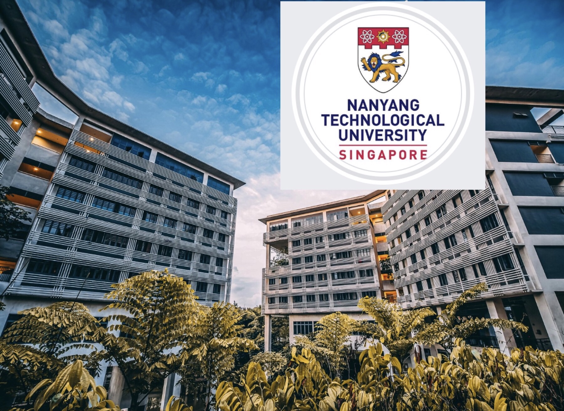 Research Fellow (Environmental Science and Engineering/ Bioengineering ...